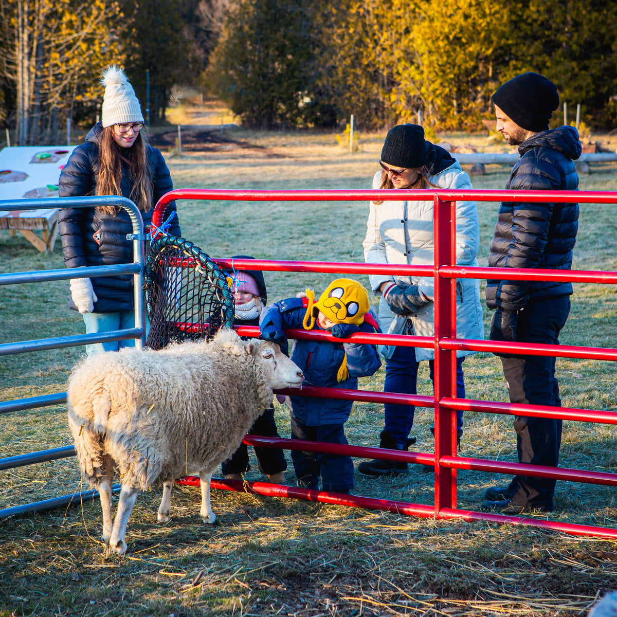 Holiday Family Fun Farm - Season Family Pass – Barrett's Christmas Tree ...