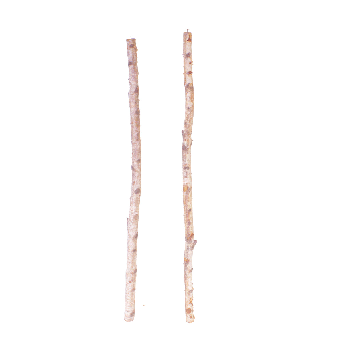 Birch Branch – Barrett's Christmas Tree Farm