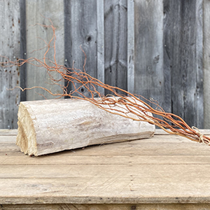 Curly Willow Bundle Barrett S Christmas Tree Farm