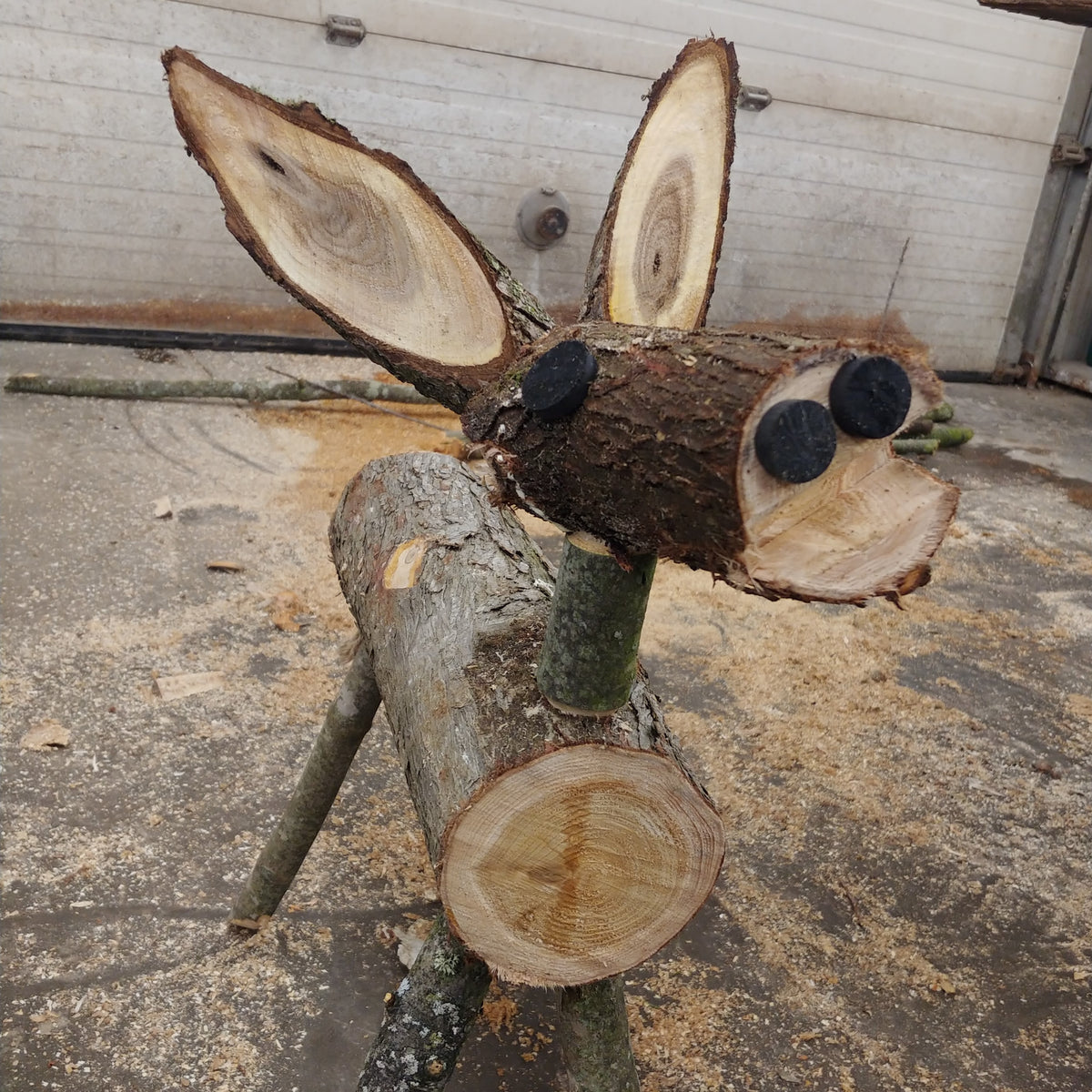 Luna - Cedar Donkey Home-Grown – Barrett's Christmas Tree Farm